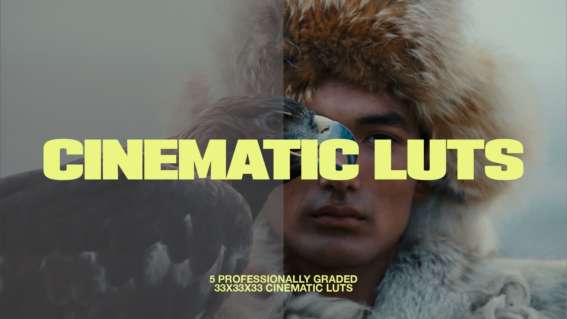 Cinematic Looks - Free LUT for video editing | Uppbeat
