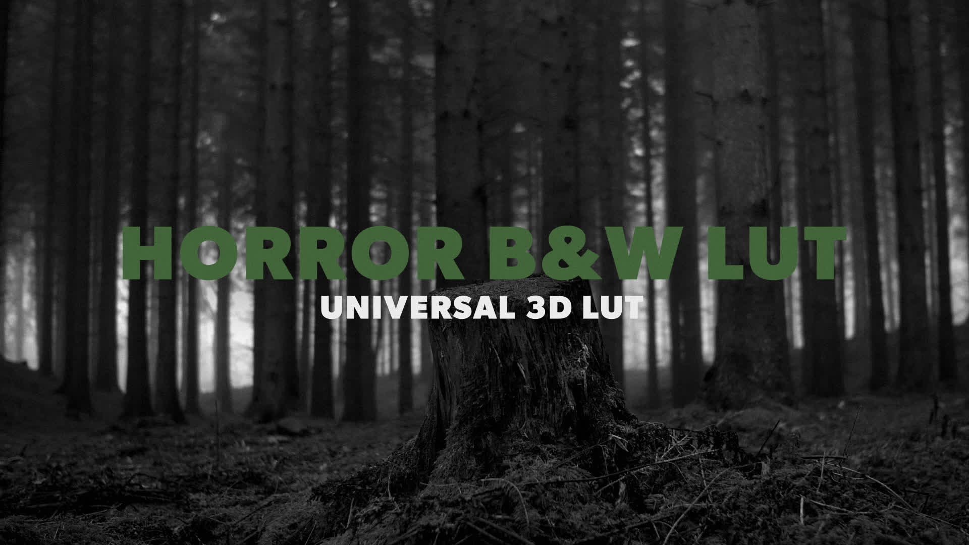 Cold Horror LUT - Free LUT for video editing | Uppbeat