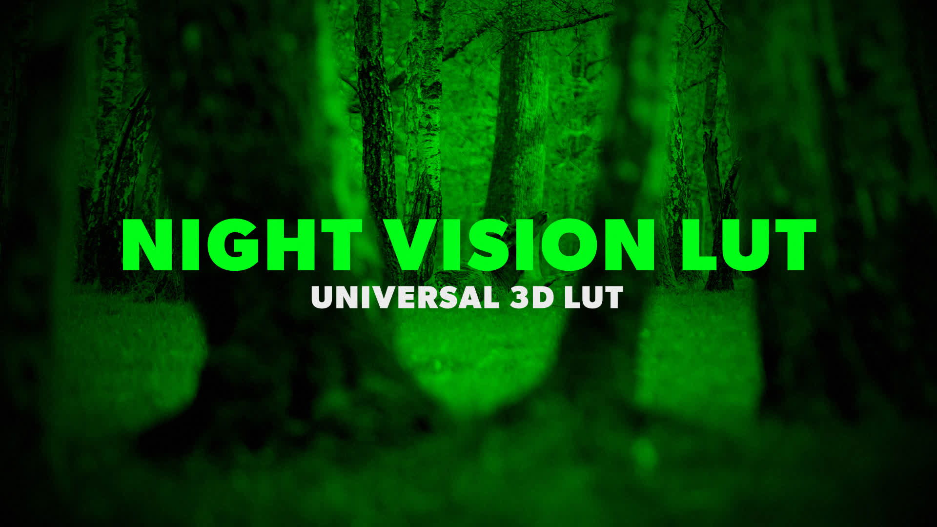 Night Overlay LUT - Free LUT for video editing | Uppbeat