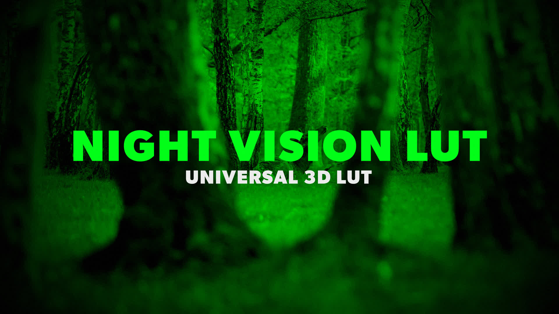Night Overlay LUT - Free LUT for video editing | Uppbeat