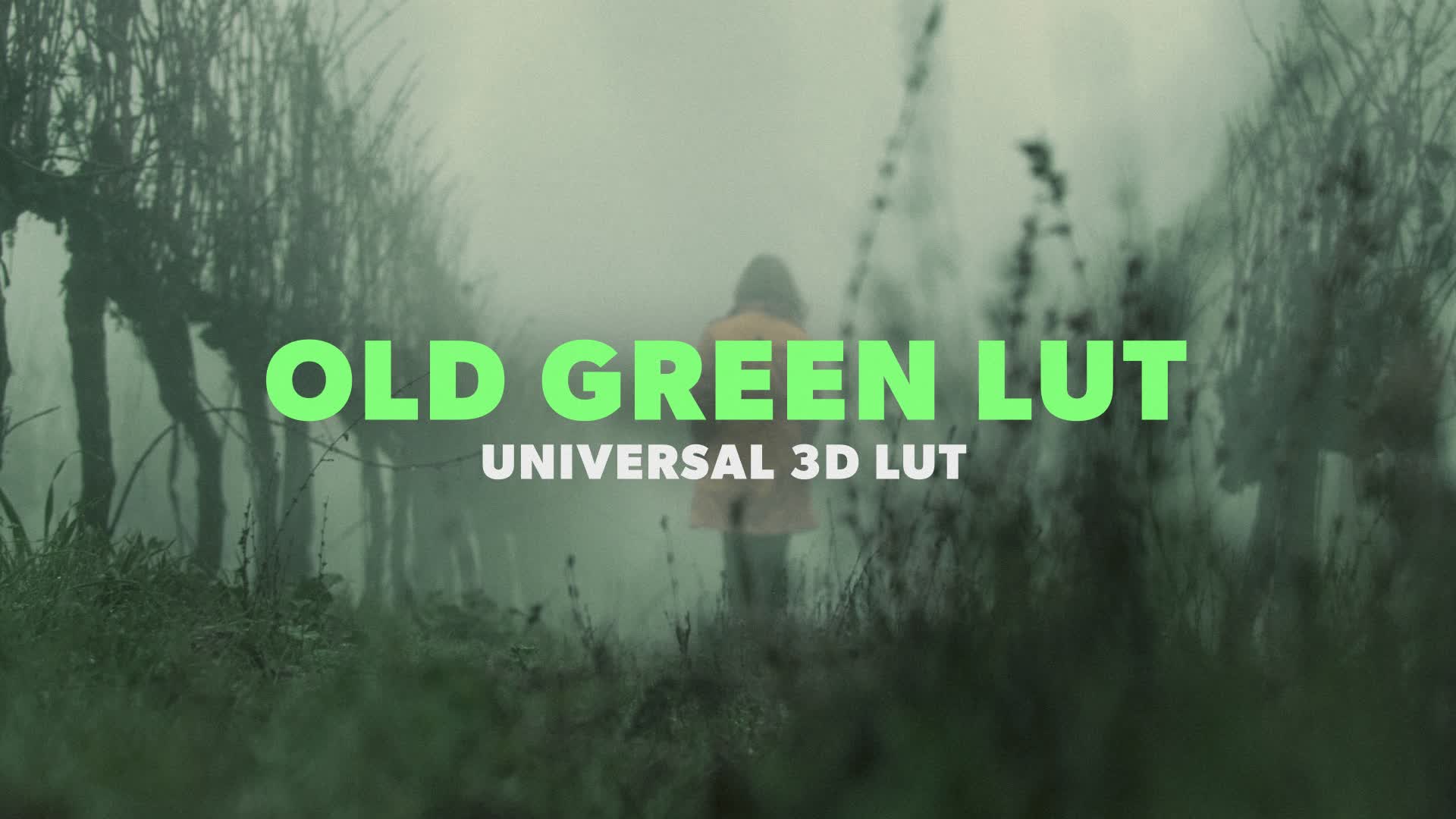 Horror Overlay LUT - Free LUT for video editing | Uppbeat