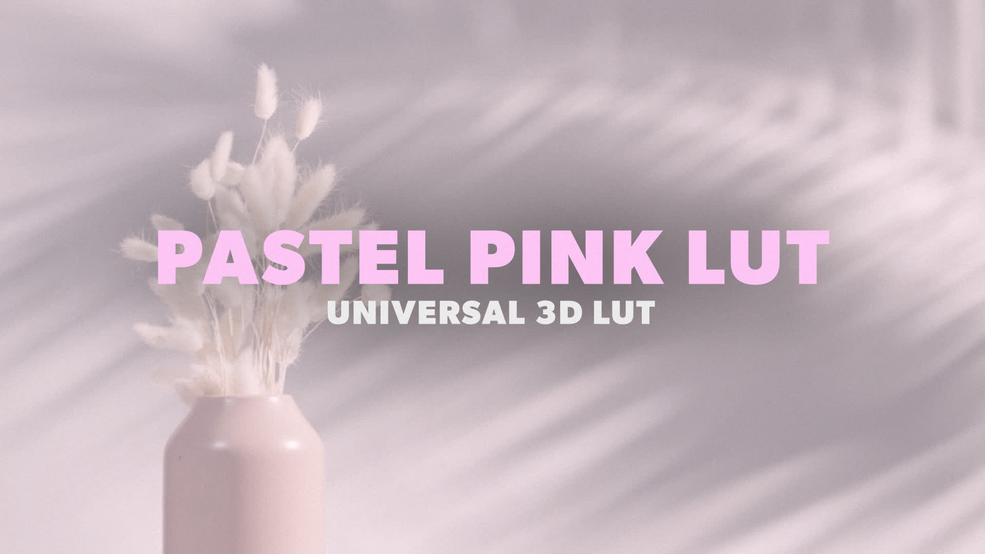 Pastel Purple LUT - Free LUT for video editing | Uppbeat