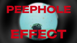 Fisheye Lens Effect • Premiere Pro Template • Uppbeat