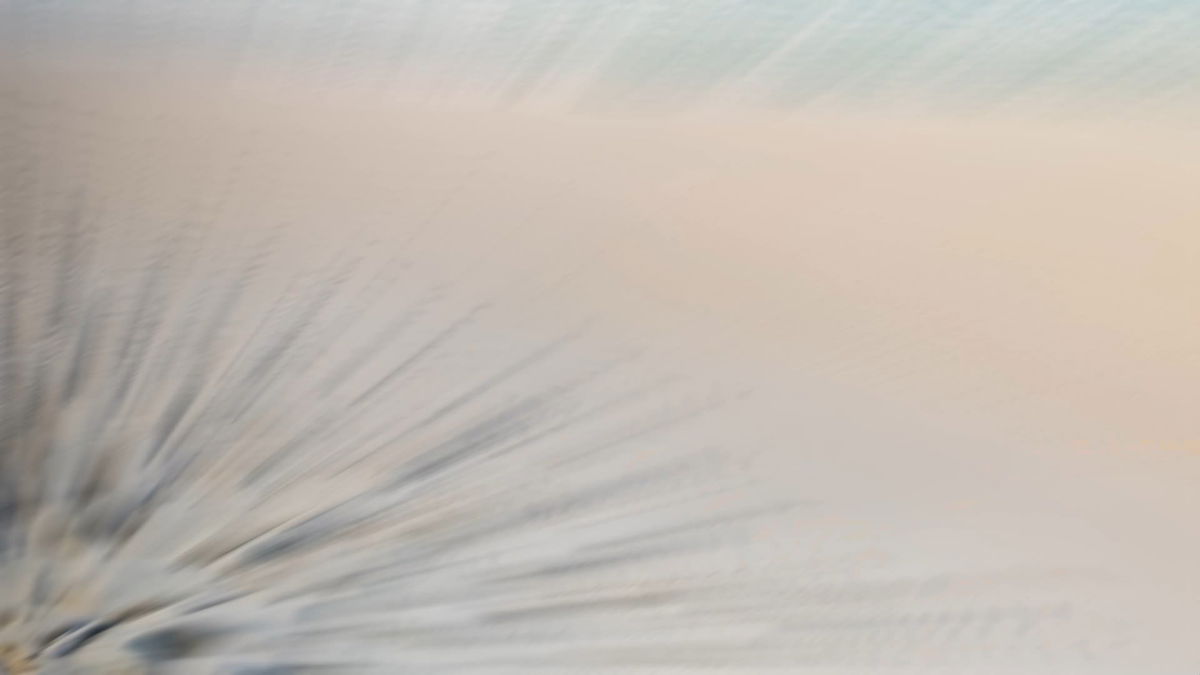 Shake Transition Pack • Free Premiere Pro Template • Uppbeat