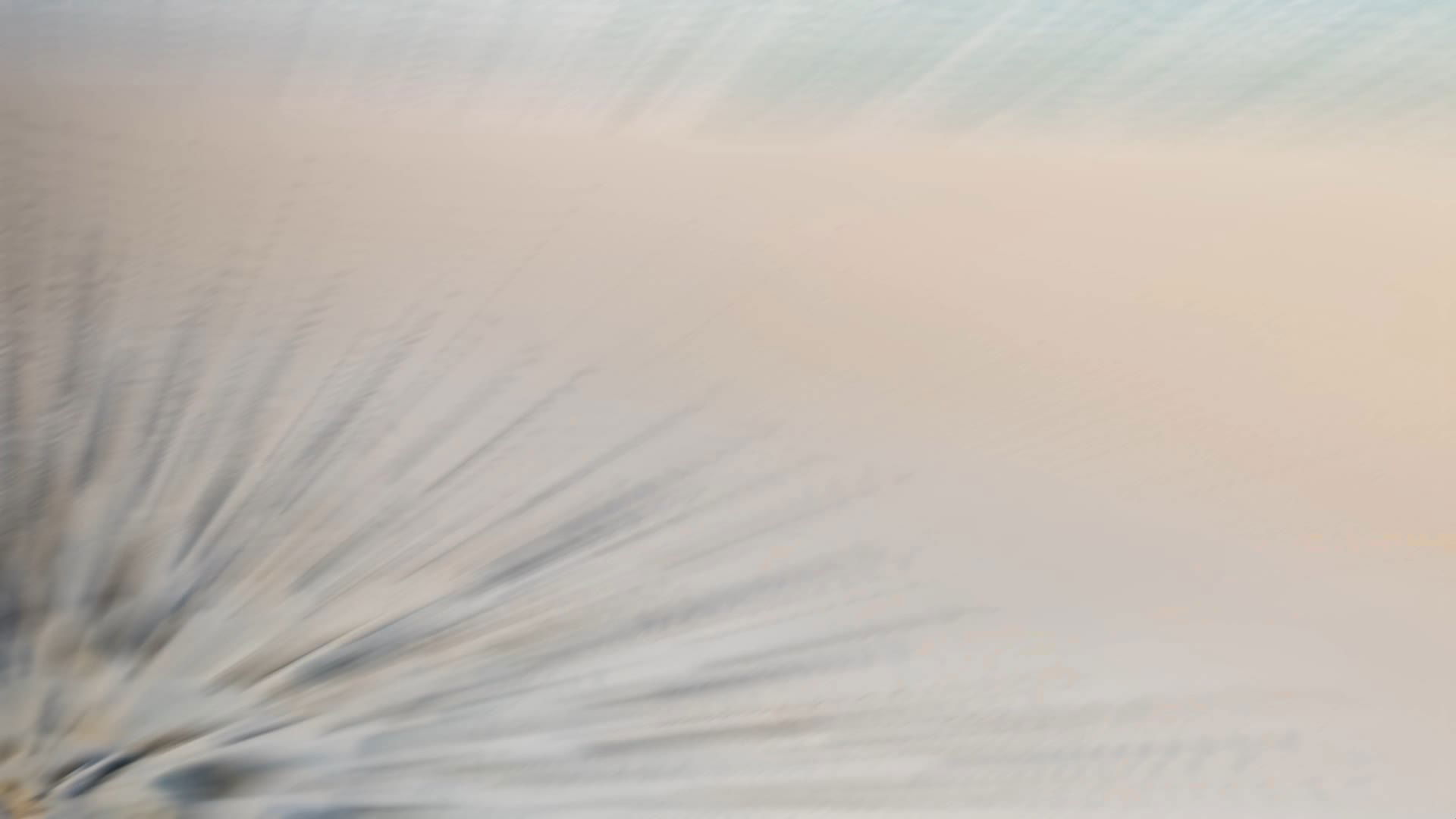 Shake Transition Pack • Free Premiere Pro Template • Uppbeat