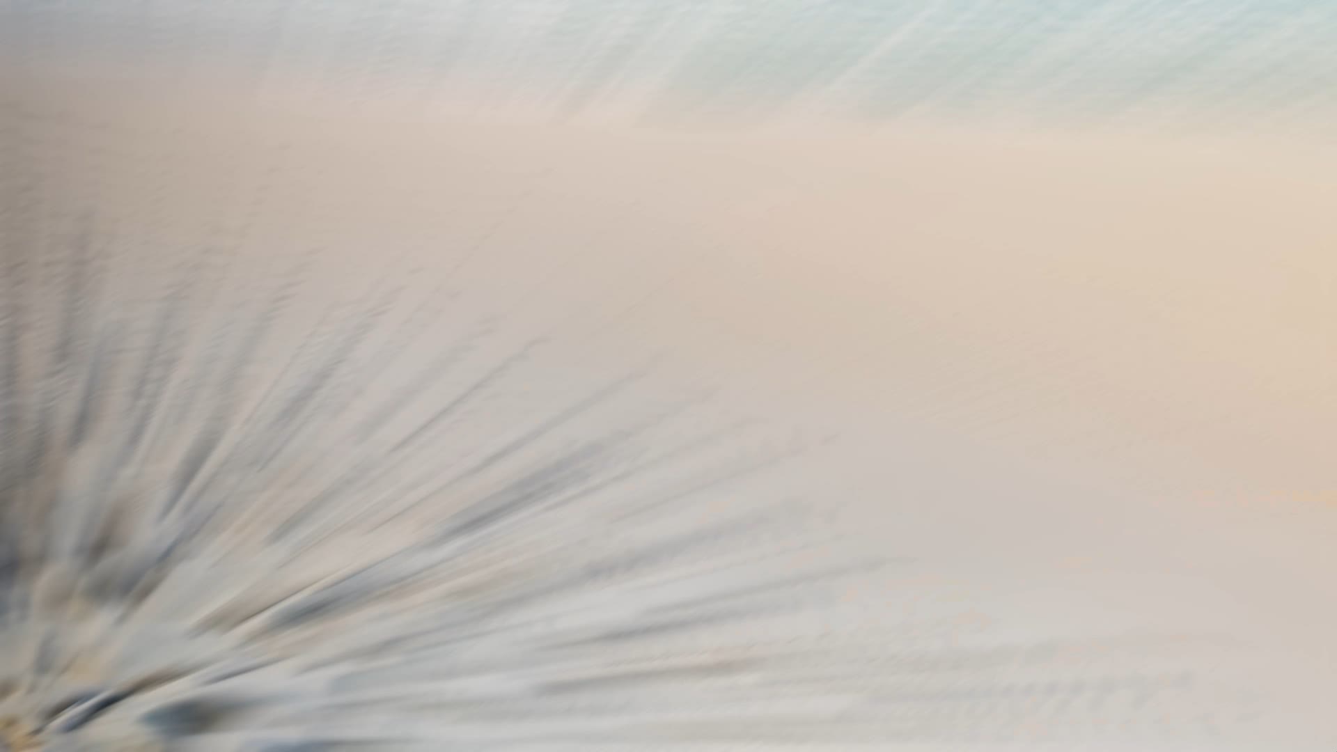 Shake Transition Pack • Free Premiere Pro Template • Uppbeat