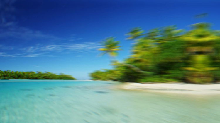 Shake Transition Pack • Free Premiere Pro Template • Uppbeat