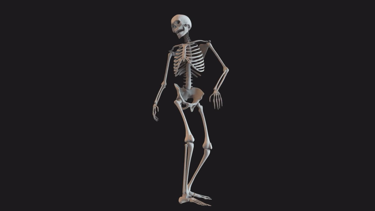 Skeleton Standing Up Side View • Motion Graphics Template • Uppbeat