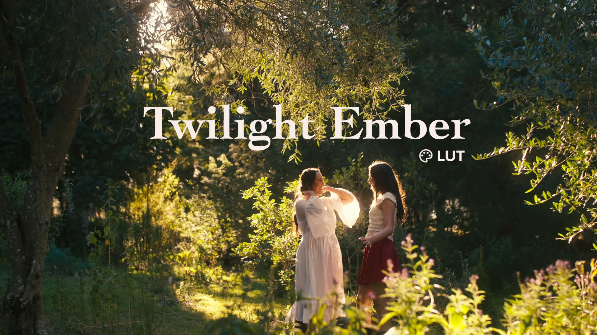 Night Overlay LUT - Free LUT for video editing | Uppbeat