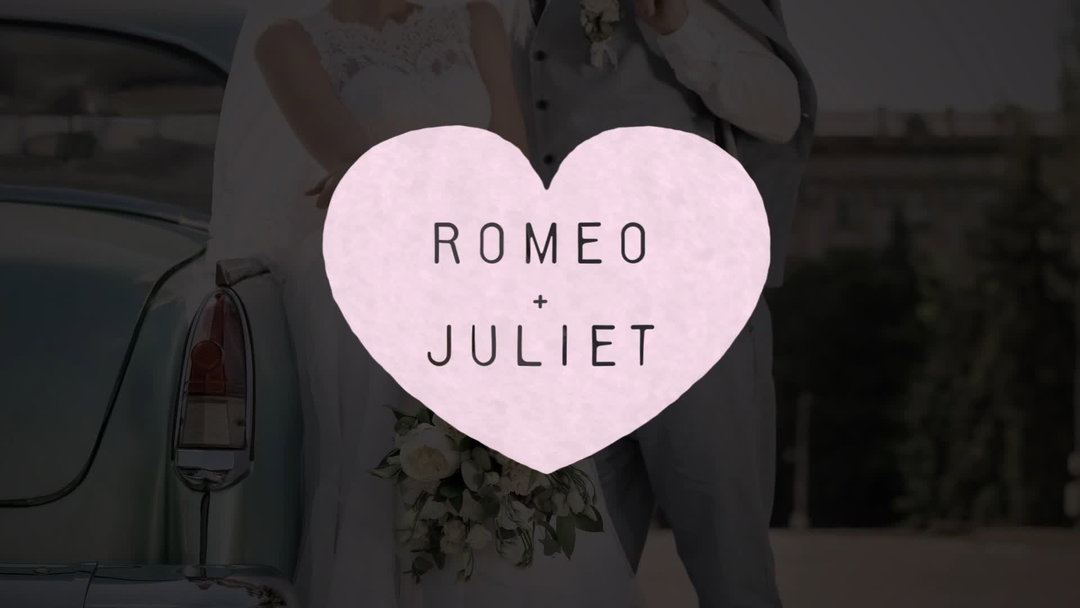 Wedding Particles Unique Grey • Premiere Pro Template • Uppbeat