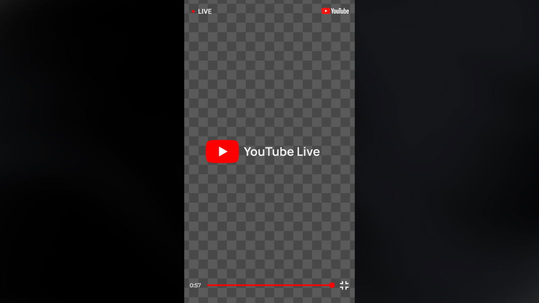 Vertical Camera Recording Overlay • Motion Graphics Template • Uppbeat