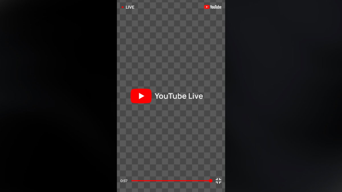 Vertical Camera Recording Overlay • Motion Graphics Template • Uppbeat