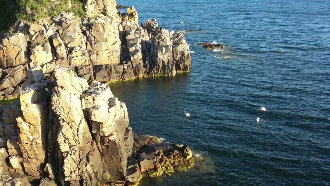 Aerial Panorama of Bornholm Forest and Coast • Stock Video on Uppbeat