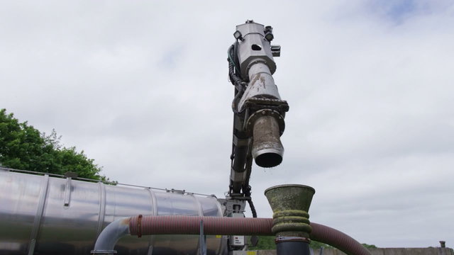 Pigs in a Pen Looking Through Bars • Stock Video on Uppbeat
