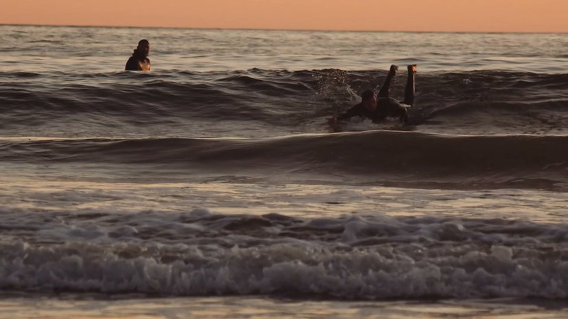 Black Bear Navigating Mossy Forest Stream • Stock Video on Uppbeat