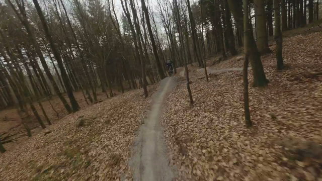 Cyclist Riding Mountain Bike on Dirt Track • Stock Video on Uppbeat