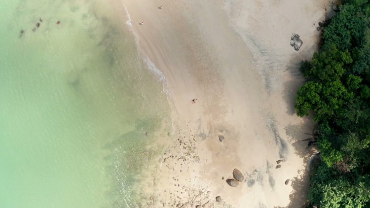 Two People Sit on Beach Looking at Ocean • Stock Video on Uppbeat