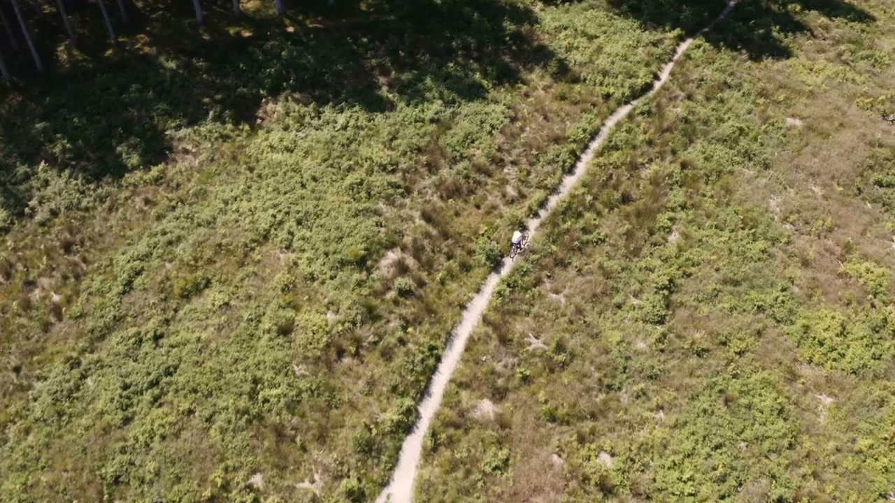 Two Men Mountain Biking Through a Forest • Stock Video on Uppbeat