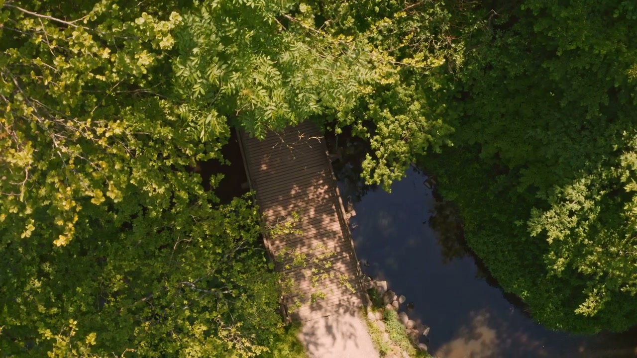 Men Mountain Biking on a Forest Trail • Stock Video on Uppbeat