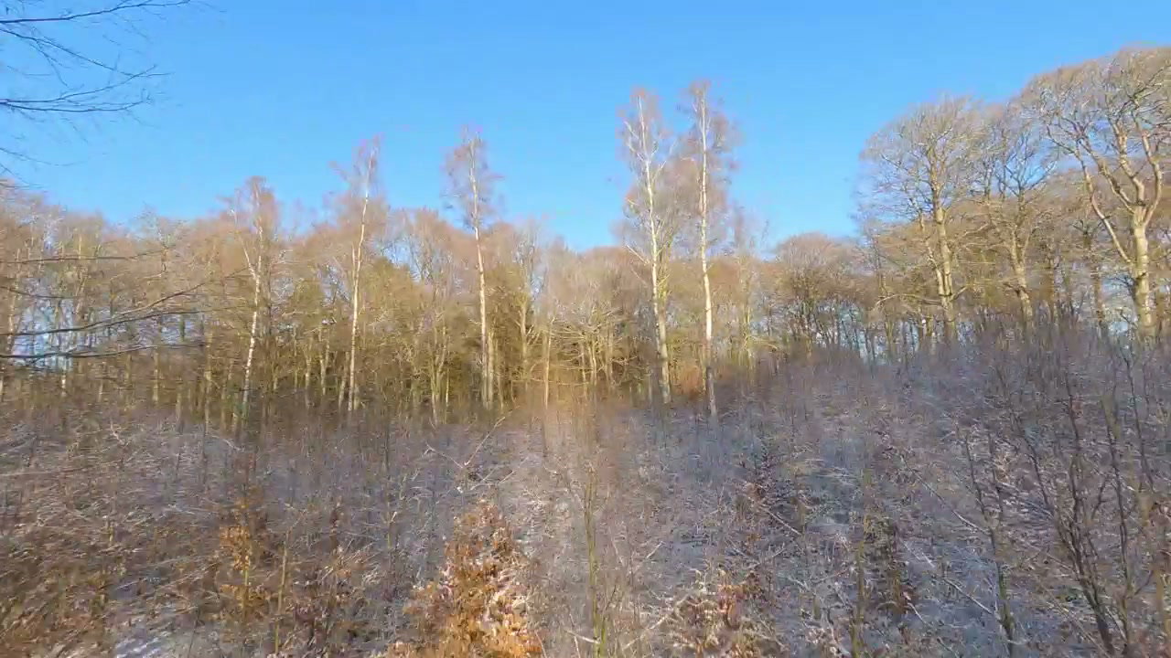 FPV Drone Flight Over Snowy Forest Path • Stock Video on Uppbeat