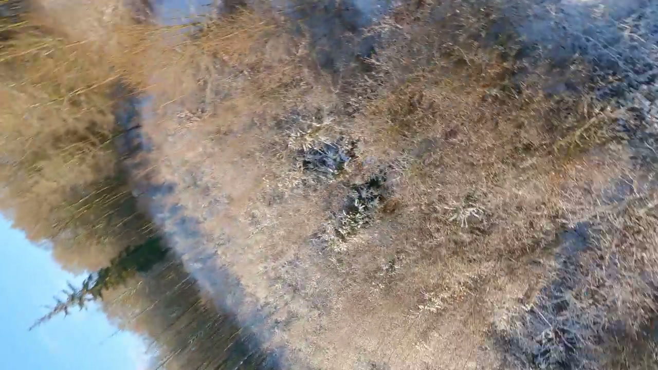 FPV Drone Flight Over Snowy Forest Path • Stock Video on Uppbeat
