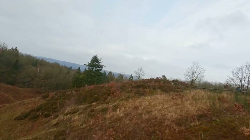 FPV Drone Flight Over Snowy Forest Path • Stock Video on Uppbeat