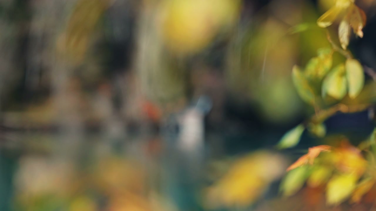 Autumn Aerial of Klammsee Reservoir, Kaprun • Stock Video on Uppbeat