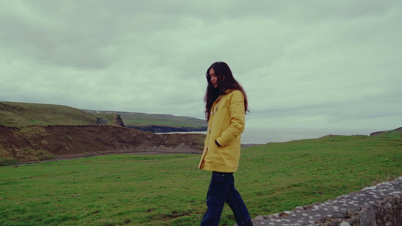 Horses Grazing in Green Rolling Hills • Stock Video on Uppbeat