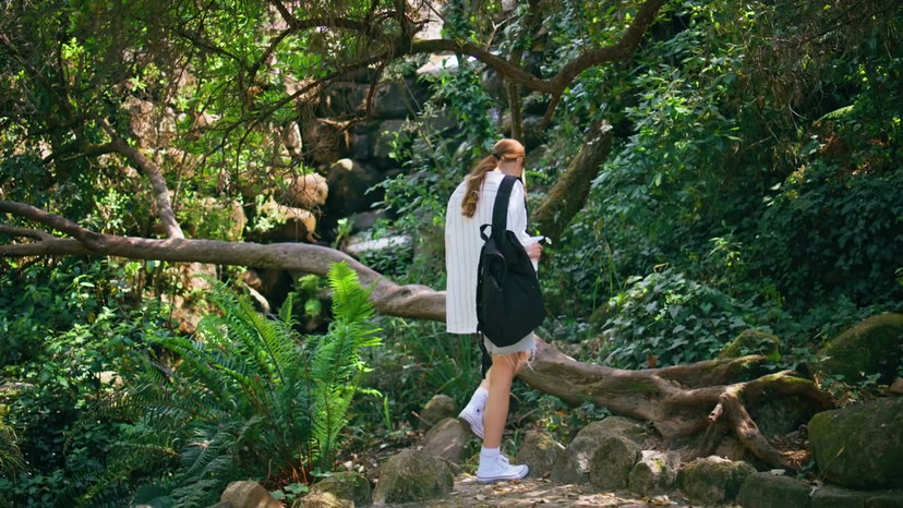 Couple Leaning Against Tree in Forest • Stock Video on Uppbeat
