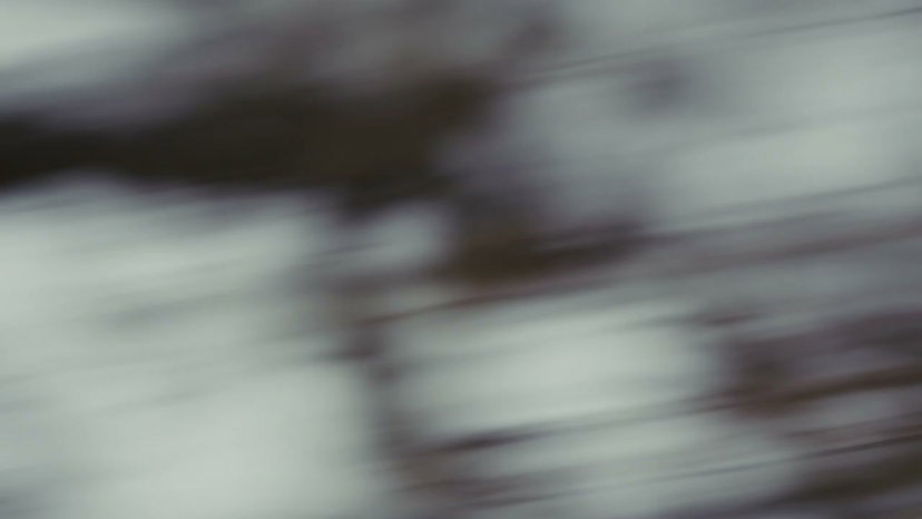 Dynamic Swish Pan Motion Blur Transition • Stock Video on Uppbeat