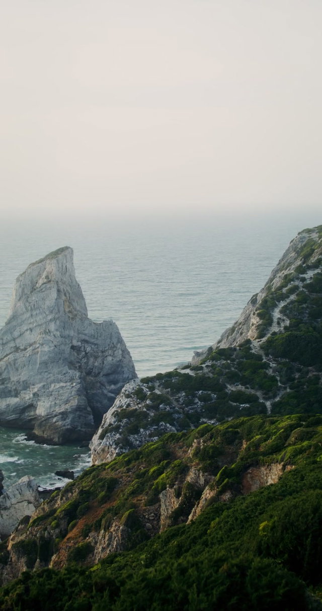 Madeira Sea Stack and Lush Coastal Cliffs • Stock Video on Uppbeat