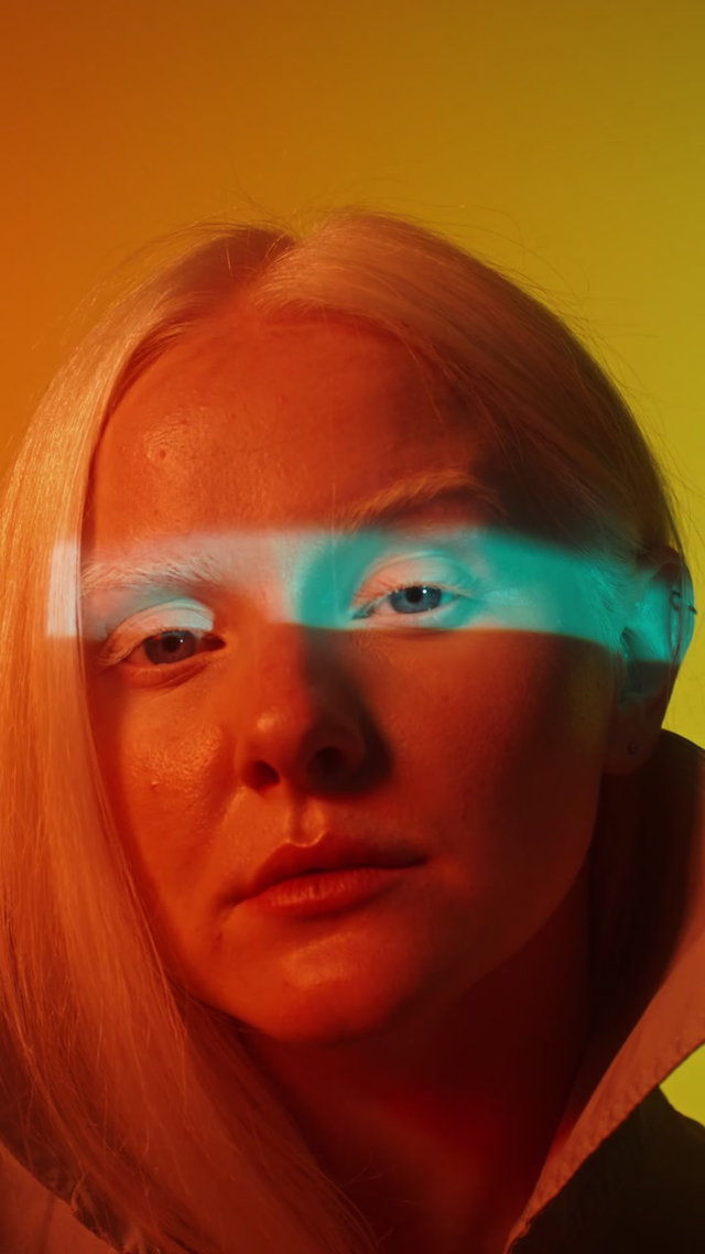 Three Women Walking Through A Sunny Forest • Stock Video on Uppbeat